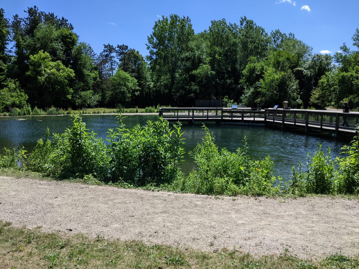 Visiting the Wolf Lake Fish Hatchery - Flour and Sunflowers